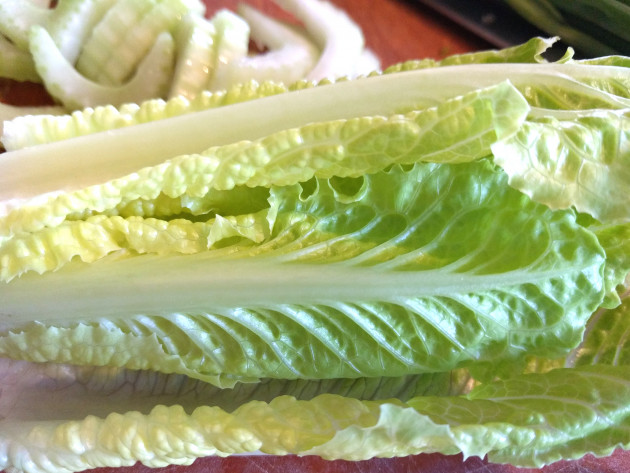 Lactuca sativa | Head Lettuce | Longifolia - PlantShare LLC - PlantShare