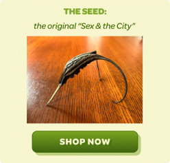 Share Free Plants & Grow Community | PlantShare LLC - PlantShare